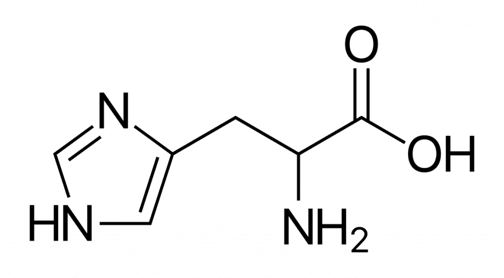 Histidina - Equisalud