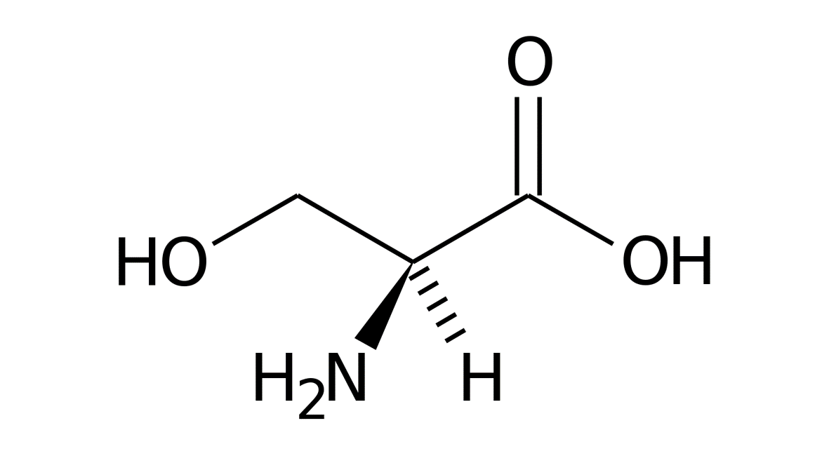 L-serina - Equisalud